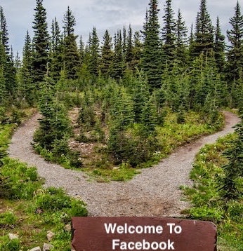 Web Dev Part 3: Handling Your Request | Michael Citro