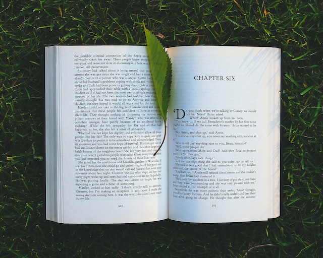 What Makes a Robust System? | Michael Citro